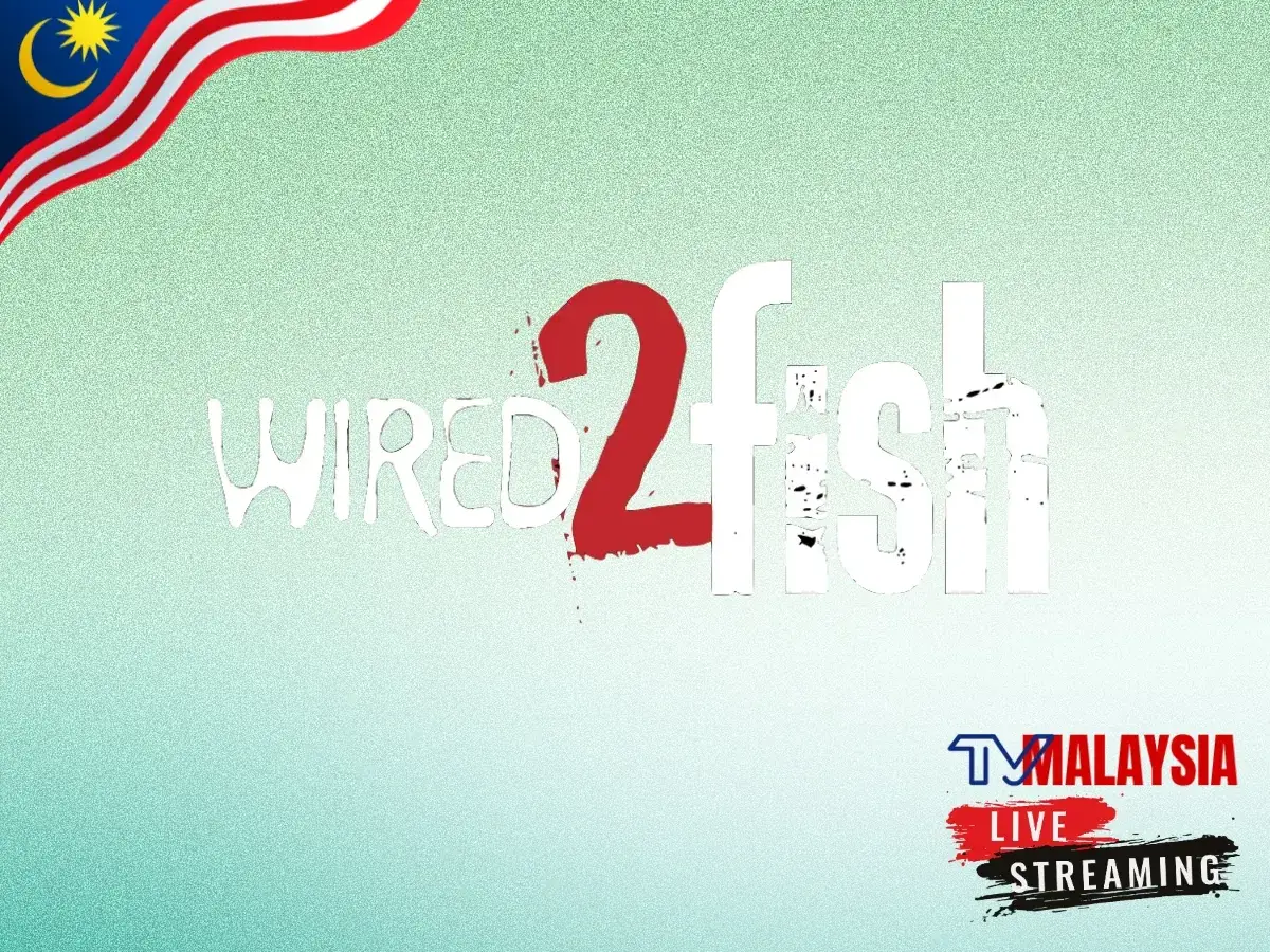 Wired2Fish TV Live Streaming – Dive into Expert Fishing Tips and ...